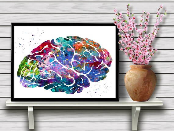 Human Brain Anatomy Biology Poster Colorful Watercolor - Etsy