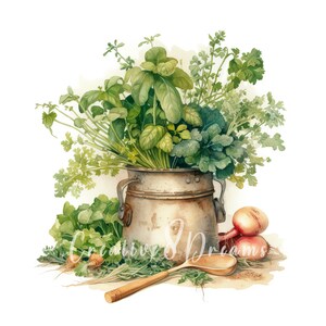 Cooking Herbs Clipart Bundle- 10 High Quality Watercolor Jpgs- Kitchen ...