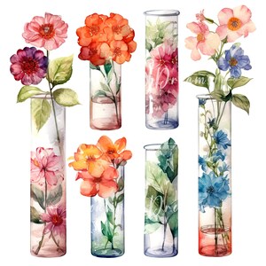 Flower Test Tubes Clipart Bundle 10 High Quality Watercolor Jpgs ...
