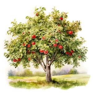 Apple Tree in Orchard Clipart Bundle- 10 High Quality Watercolor Jpgs ...