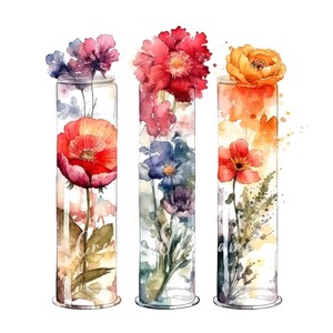 Flower Test Tubes Clipart Bundle- 10 High Quality Watercolor Jpgs ...