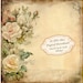 Vintage Aged Page With White Roses Clipart Bundle 10 High Quality ...
