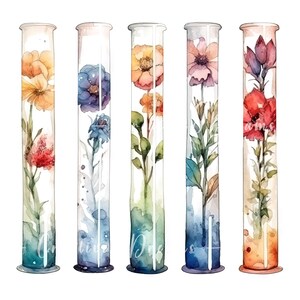 Flower Test Tubes Clipart Bundle 10 High Quality Watercolor Jpgs ...