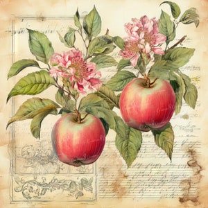 Shabby Chic Apple Branches Clipart Bundle- 10 High Quality Watercolor ...