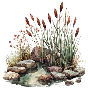 Bulrush Growing by Rocks by a Lake JPG Clipart Bundle- Digital Download ...