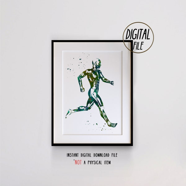 Muscle Anatomy Gym Poster - Etsy