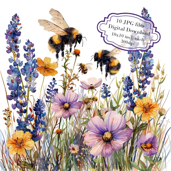 Creative Meadow Svg - Etsy