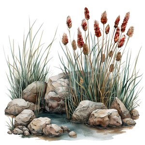 Bulrush Growing by Rocks by a Lake Clipart Bundle 10 High Quality ...