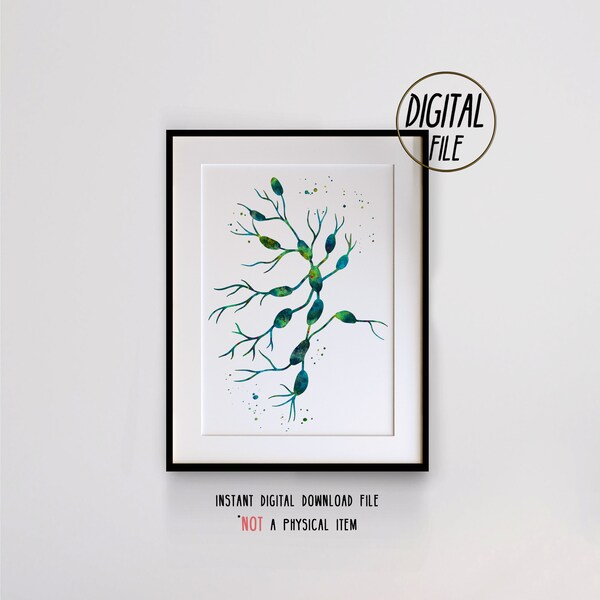 Lymph Nodes Poster - Etsy