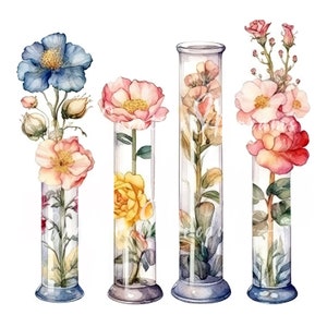 Flower Test Tubes Clipart Bundle- 10 High Quality Watercolor Jpgs ...