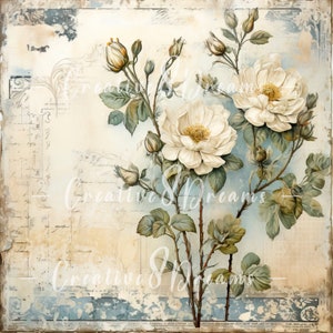 Vintage Page With White Roses Clipart Bundle- 10 High Quality ...