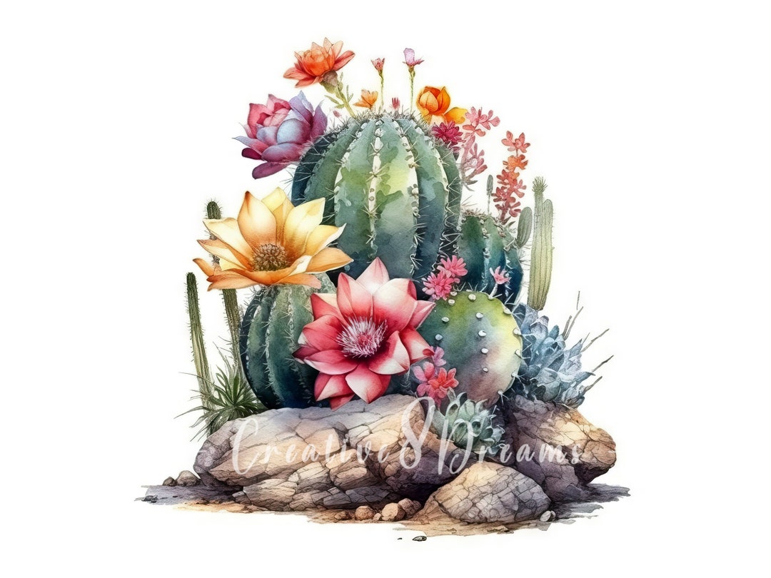 Cactus Among Rocks JPG Clipart Bundle- Digital Download - Etsy