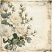 Vintage Page With White Roses Clipart Bundle 10 High Quality Watercolor ...