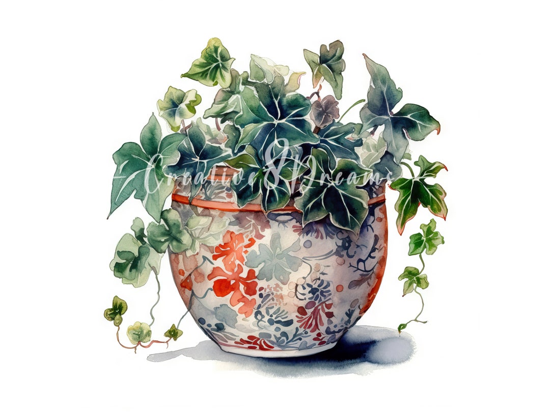 Ivy in Flower Pot Clipart Bundle- 10 High Quality Watercolor Jpgs ...