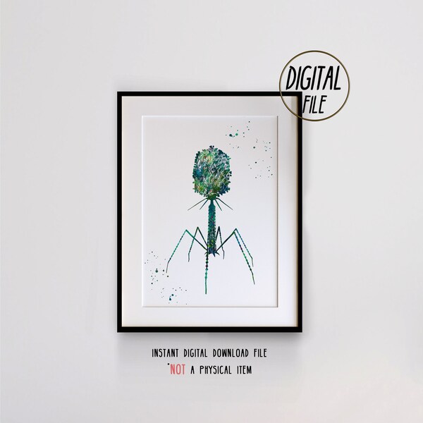 Virus Art - Etsy