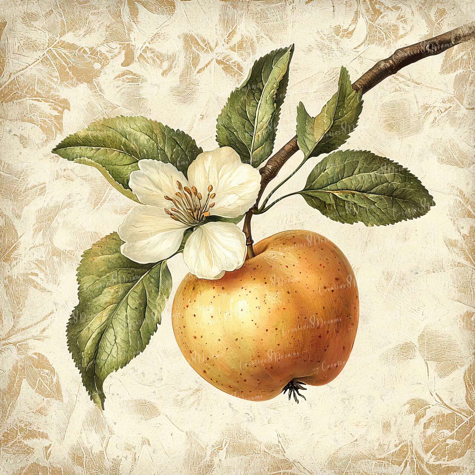 Vintage Botanical Apple Aged Paper JPG Clipart Bundle- Digital Download ...