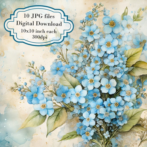 Forget Me Not Paper - Etsy