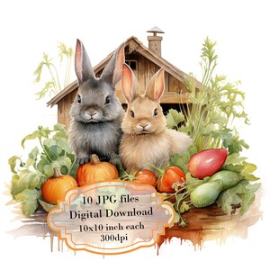 Little Bunnies in Vegetable Garden With Shack JPG Clipart Bundle ...