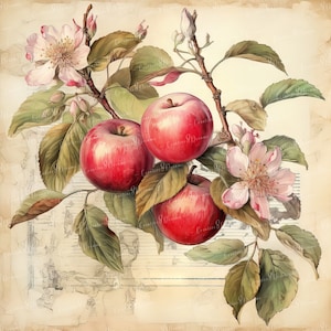 Shabby Chic Apple Branches Clipart Bundle- 10 High Quality Watercolor ...