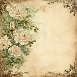 Vintage Aged Page With White Roses Clipart Bundle- 10 High Quality ...