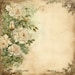Vintage Aged Page With White Roses Clipart Bundle 10 High Quality ...