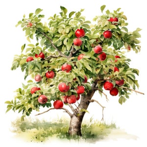 Apple Tree in Orchard Clipart Bundle- 10 High Quality Watercolor Jpgs ...