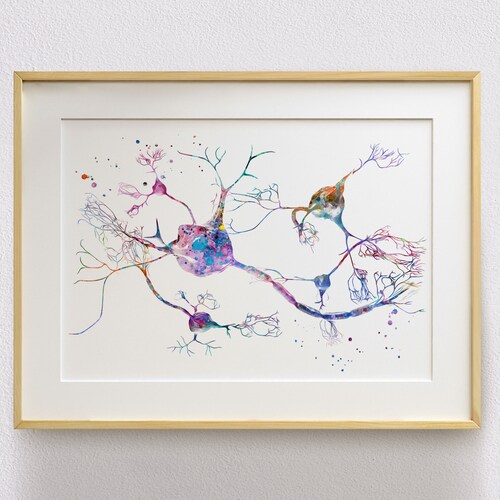 Synapse Science Art Print Synaptic Cleft Biology Poster - Etsy
