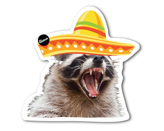 Peeking Laughing Mexican Raccoon Wearing A Sombrero Laptop - Etsy
