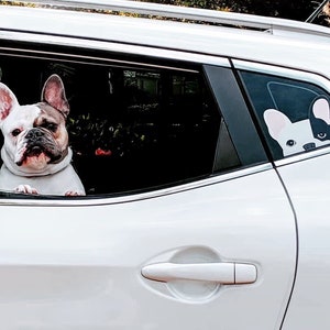 Frenchie Sticker Frenchiestore Black R Pied French Bulldog Car Decal - Etsy