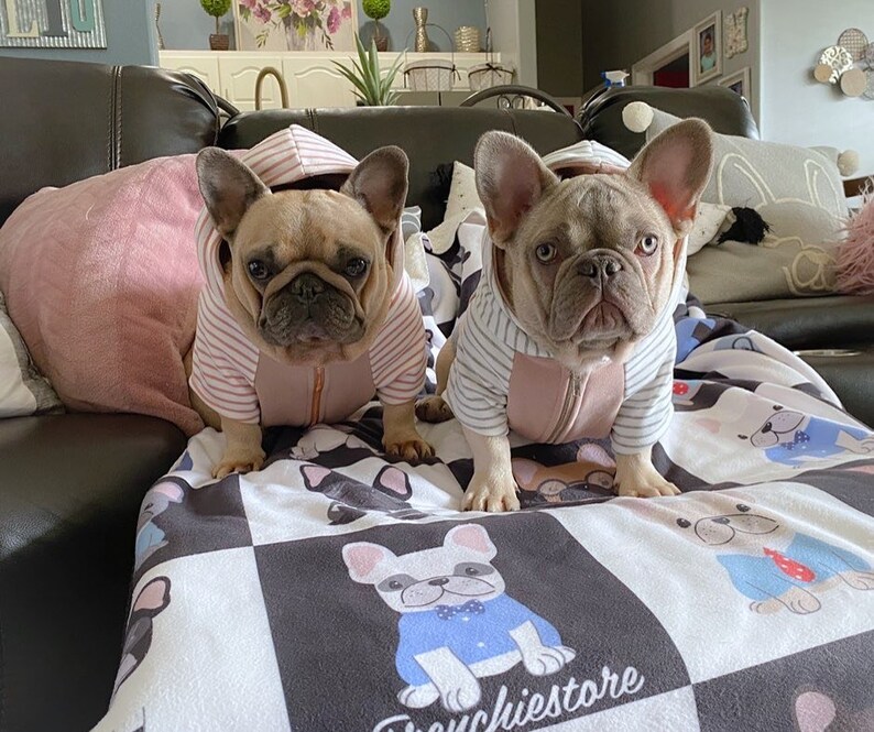 Frenchie Blanket | Preppy French Bulldogs on Black & White - Etsy
