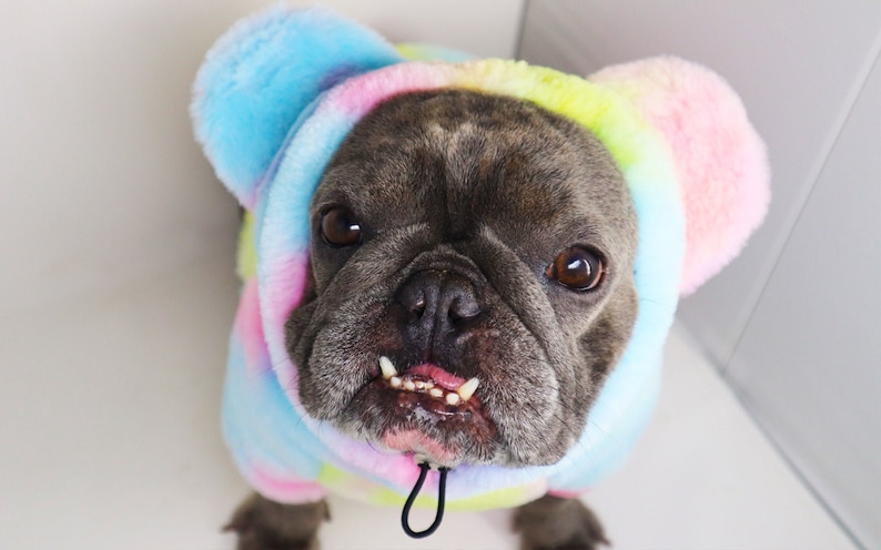 Frenchiestore Organic Dog Frenchie Ear Hoodie Care Bear - Etsy