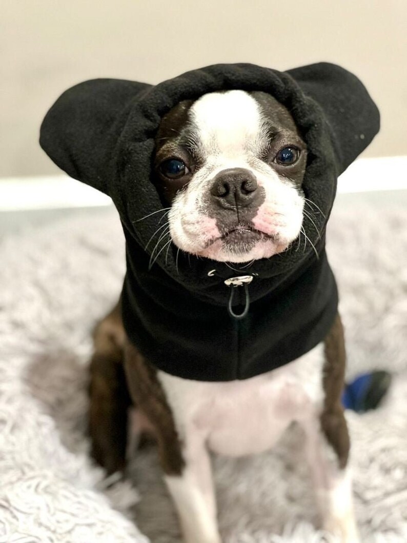 Frenchiestore Organic Dog Frenchie Ear Warmers | Black Frenchie - Etsy