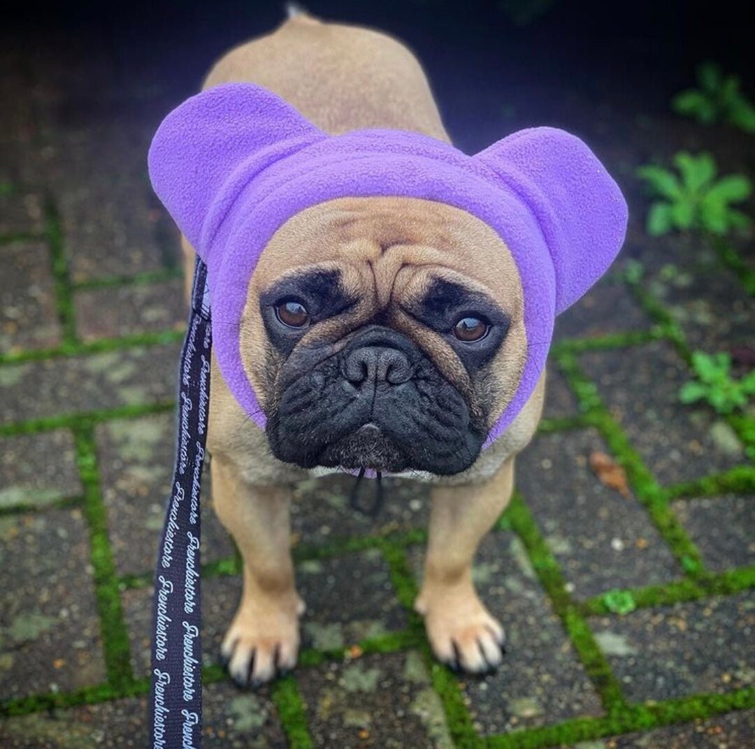 Frenchiestore Organic Dog Frenchie Ear Warmers | Purple - Etsy