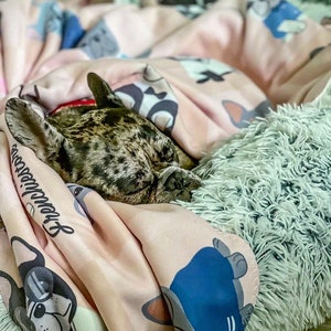 Frenchie Blanket | Preppy French Bulldogs on Pink - Etsy