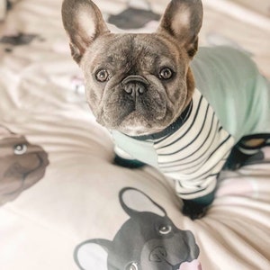 Frenchie Blanket | Frenchiestore | French Bulldog Mix - Etsy