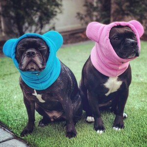Frenchiestore Organic Dog Frenchie Ear Warmers | Pink - Etsy