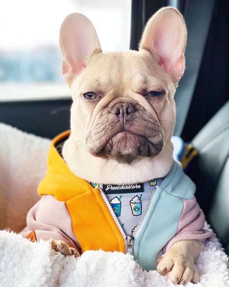 French Bulldog Hoodie Frenchie Clothing Forest Sunrise | Etsy