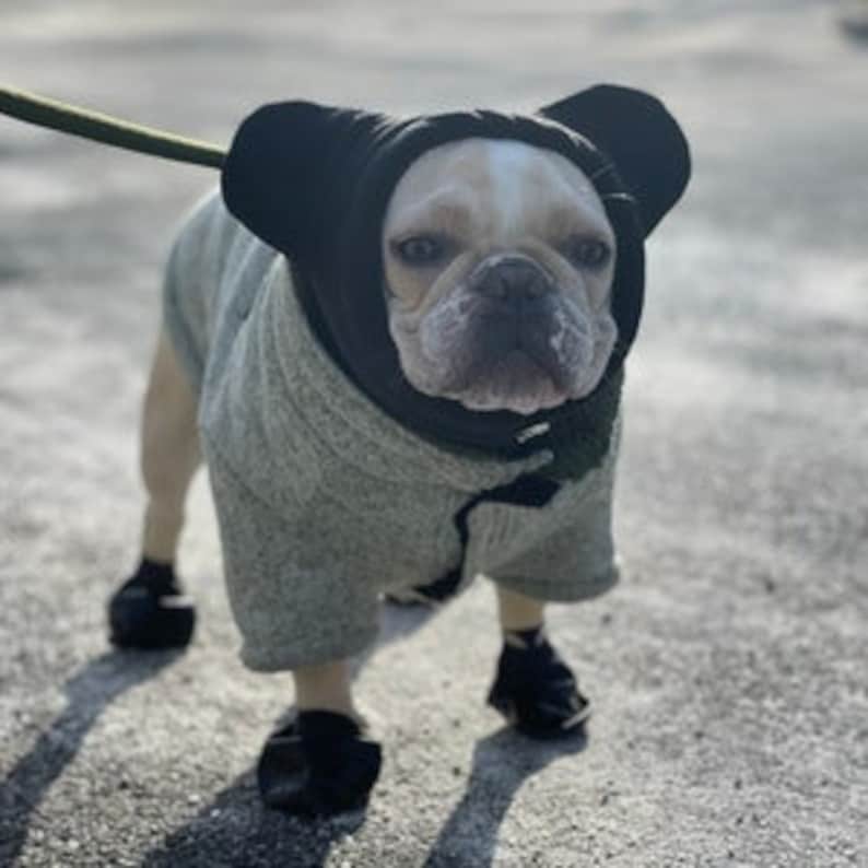 Frenchiestore Organic Dog Frenchie Ear Warmers | Black Frenchie - Etsy
