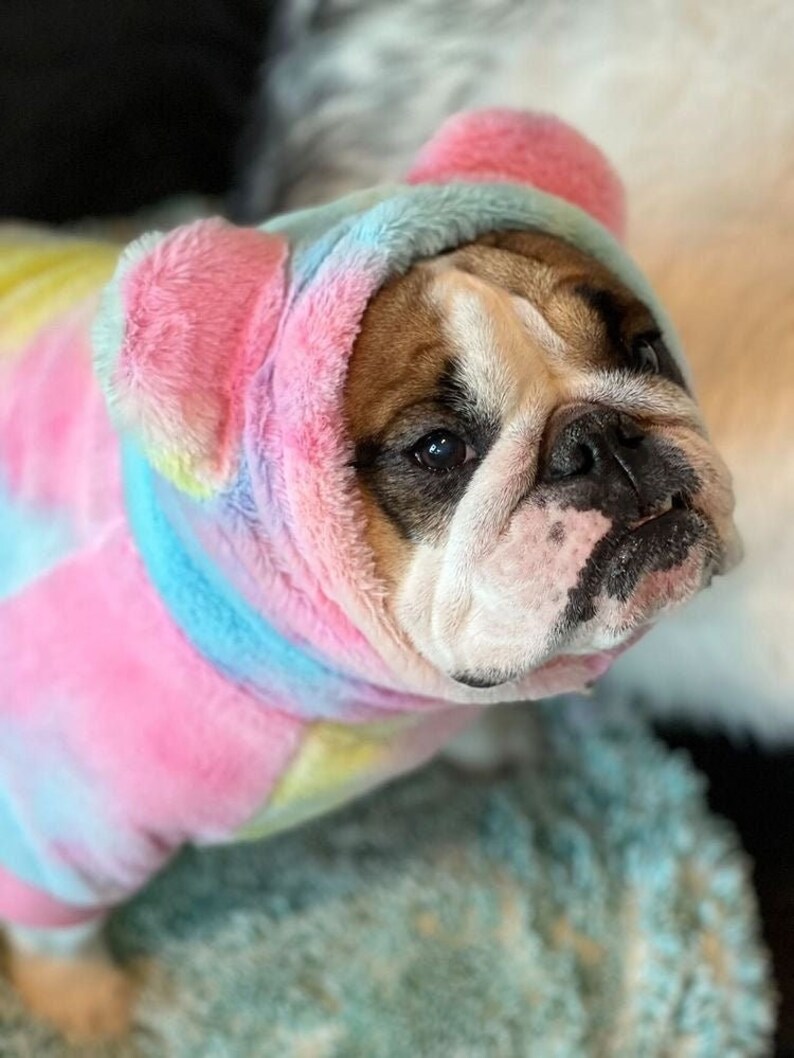 Frenchiestore Organic Dog Frenchie Ear Hoodie Care Bear - Etsy