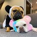 Frenchiestore Organic Dog Frenchie Ear Hoodie Care Bear - Etsy