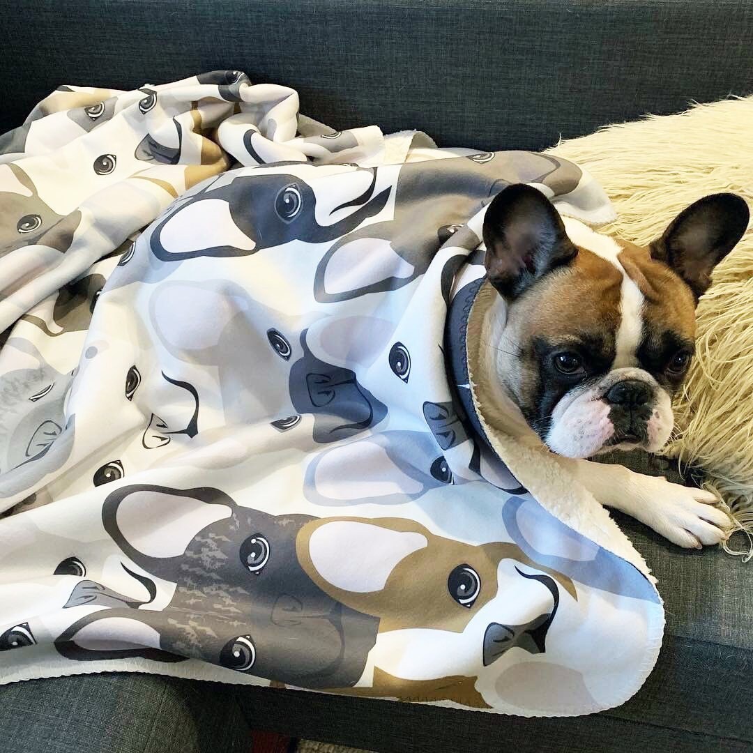 Frenchie Blanket | Frenchiestore | French Bulldog Pattern - Etsy