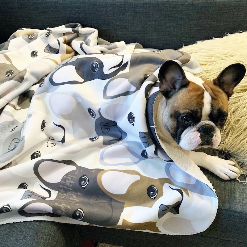 French Bulldog Pattern - Etsy