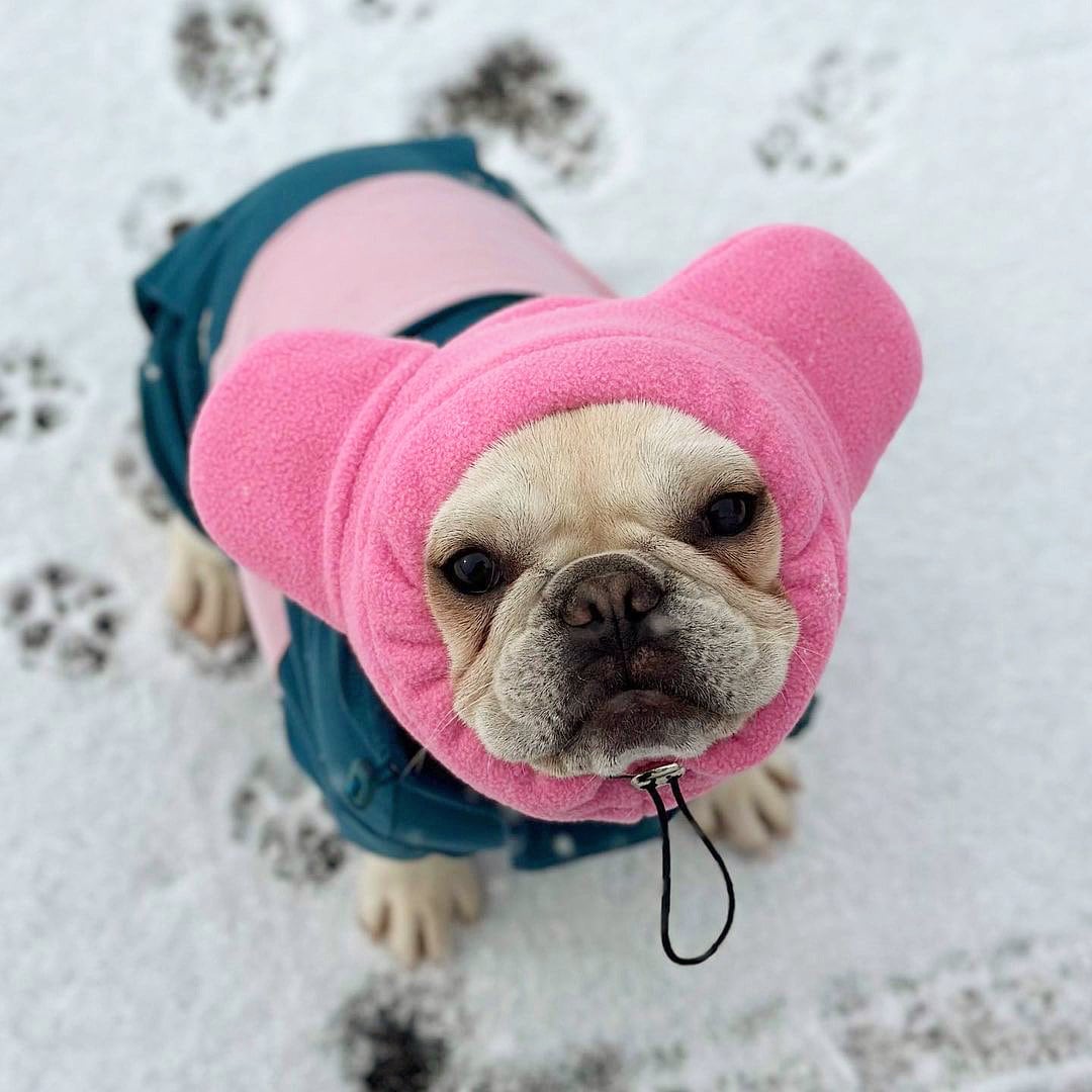 Frenchiestore Organic Dog Frenchie Ear Warmers | Pink - Etsy