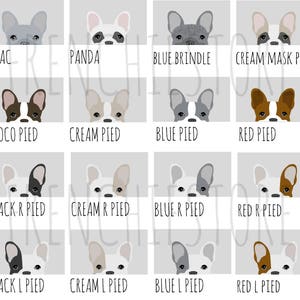 Frenchie Sticker | Frenchiestore | Black French Bulldog Car Decal - Etsy