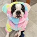 Frenchiestore Organic Dog Frenchie Ear Hoodie Care Bear - Etsy