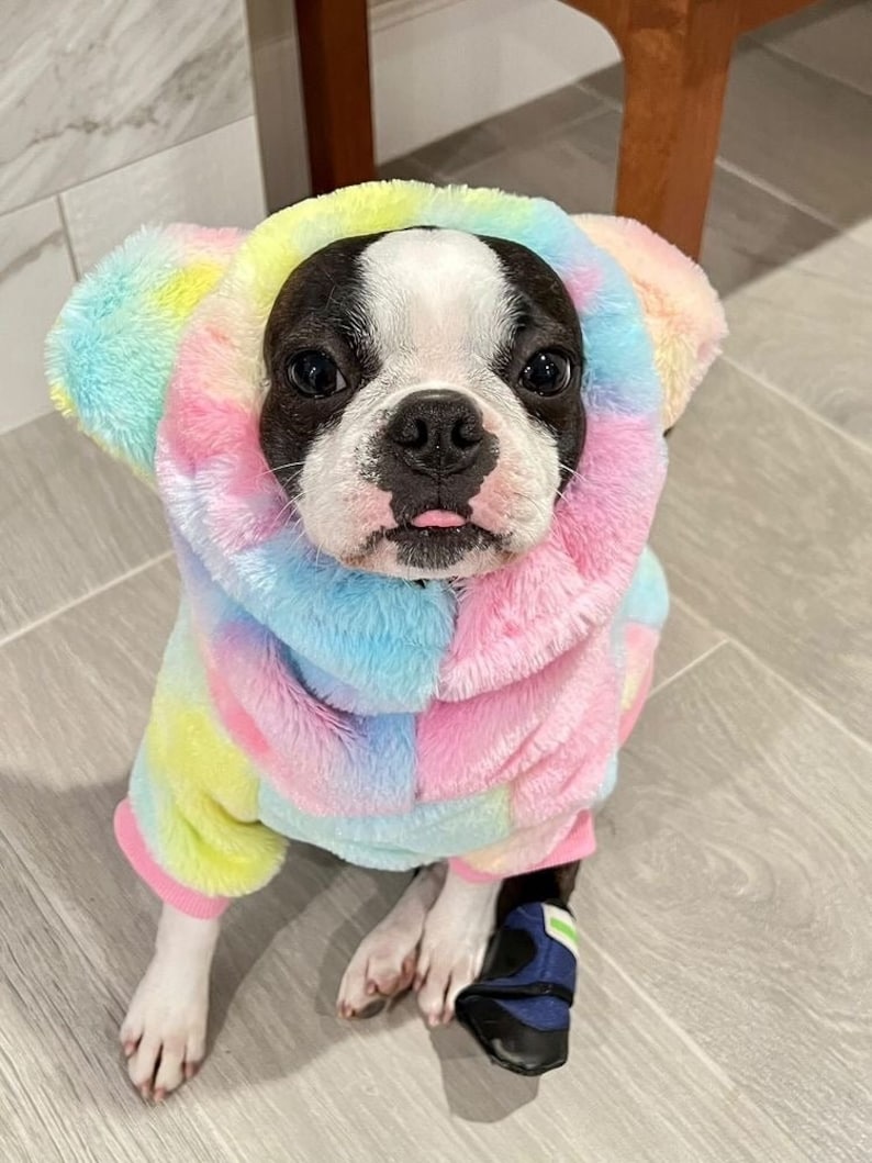 Frenchiestore Organic Dog Frenchie Ear Hoodie Care Bear - Etsy