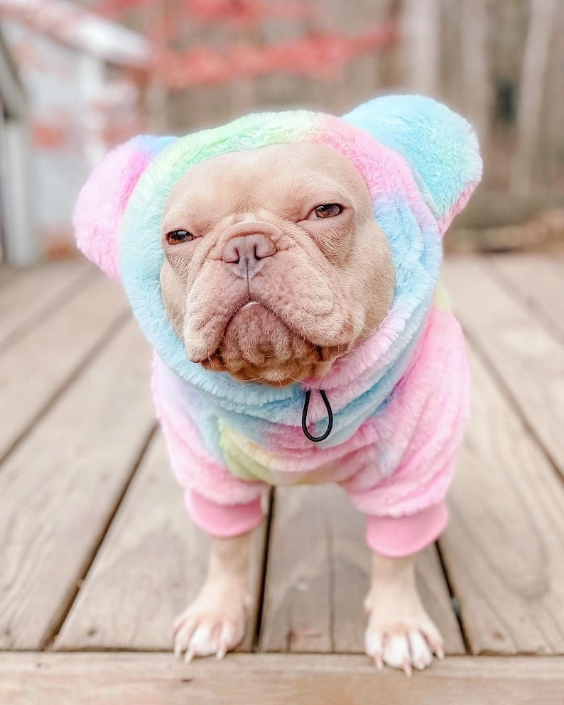Frenchiestore Organic Dog Frenchie Ear Hoodie Care Bear - Etsy