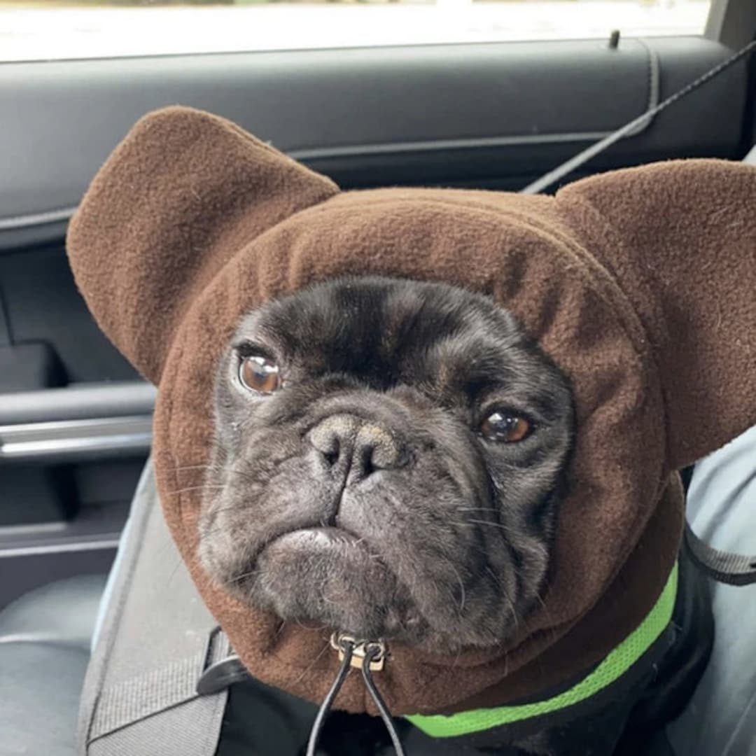 Frenchiestore Organic Dog Frenchie Ear Warmers | Brown Brindle Frenchie ...