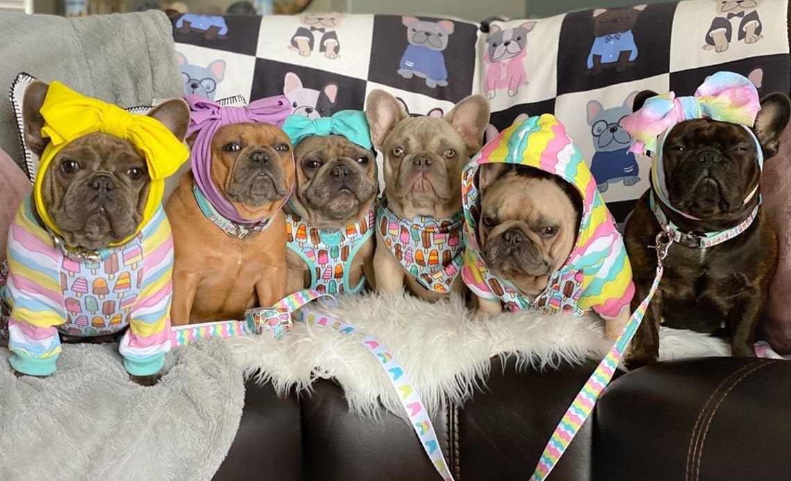 Frenchie Blanket Preppy French Bulldogs on Black & White | Etsy