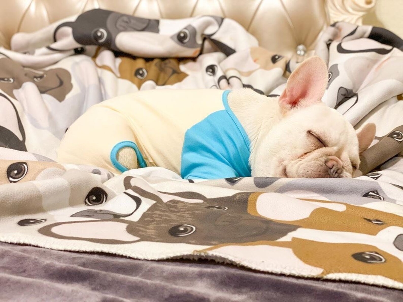 Frenchie Blanket Frenchiestore French Bulldog Pattern - Etsy